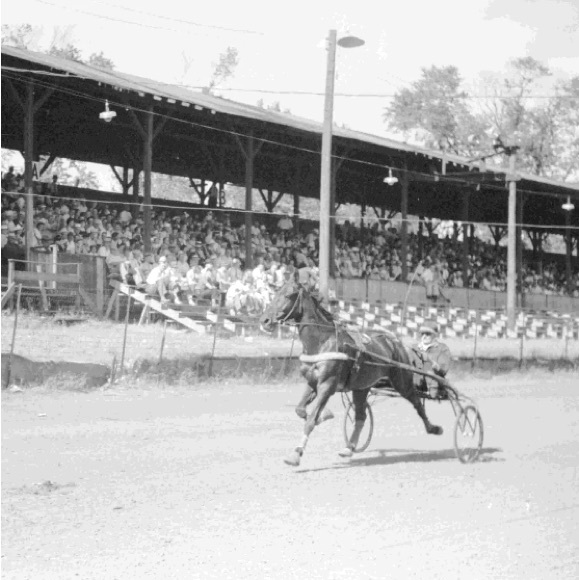 Art | Marshalltown Iowa Sulky Race Central Iowa 2 Vintage Old Photo ...